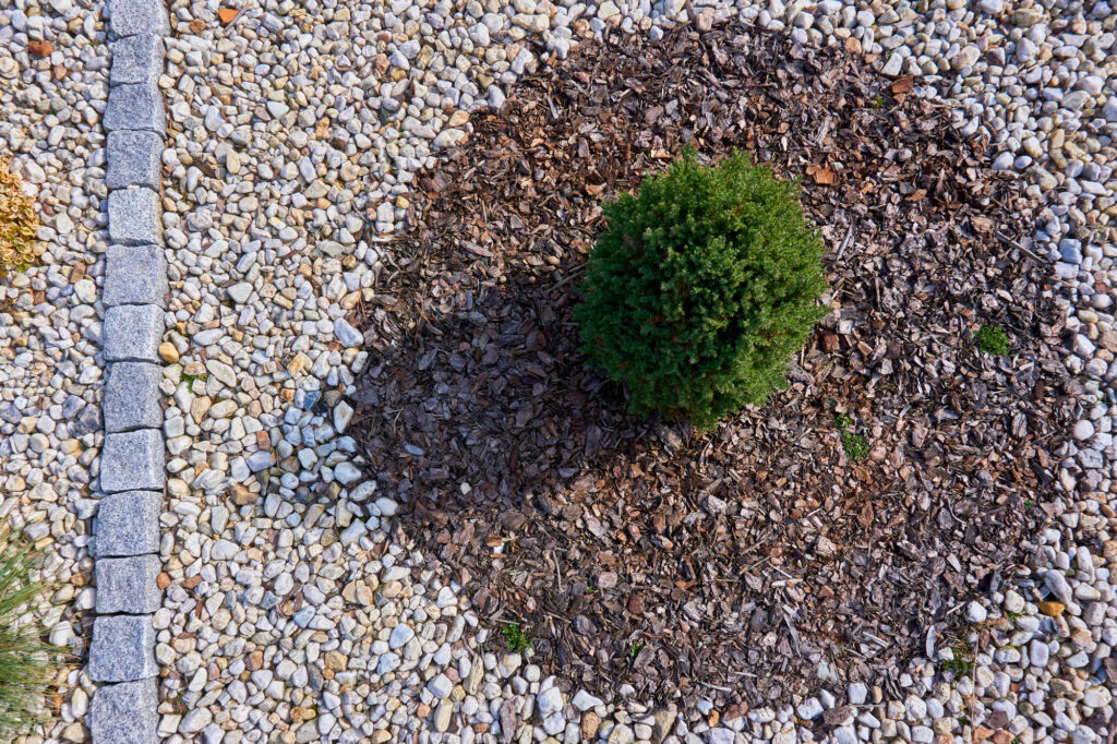 Choosing Rock vs Mulch for Your Home's Landscaping | Champion Brick